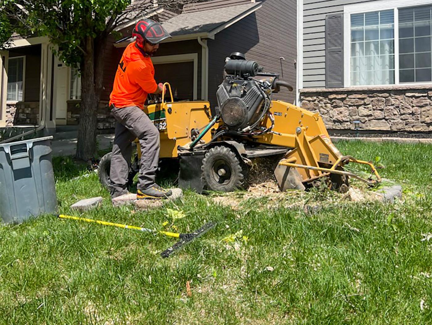 Stump Grinding & Removal Denver, CO - Devora Tree Services